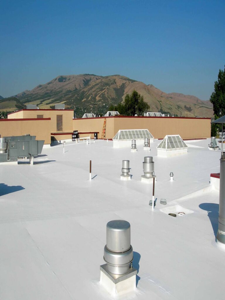 Professional Roof Coating & Repairs That Last