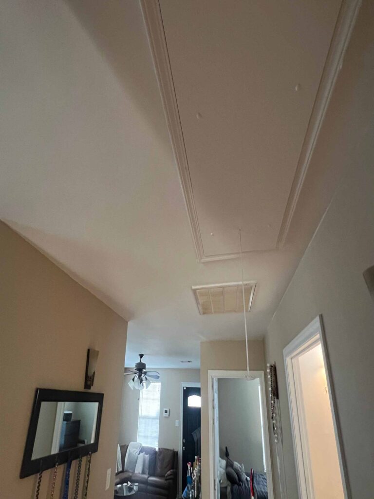 Professional Painting Services | Interior & Exterior Experts